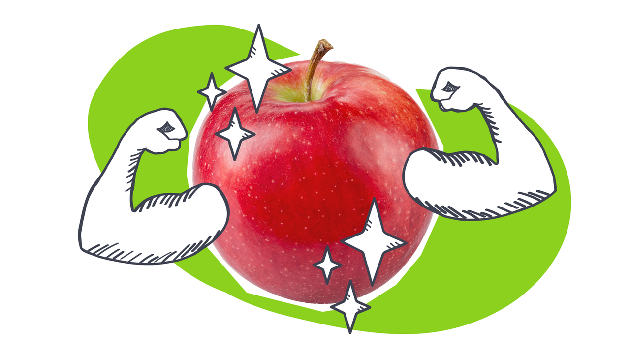logo! erklärt: Äpfel - logo!