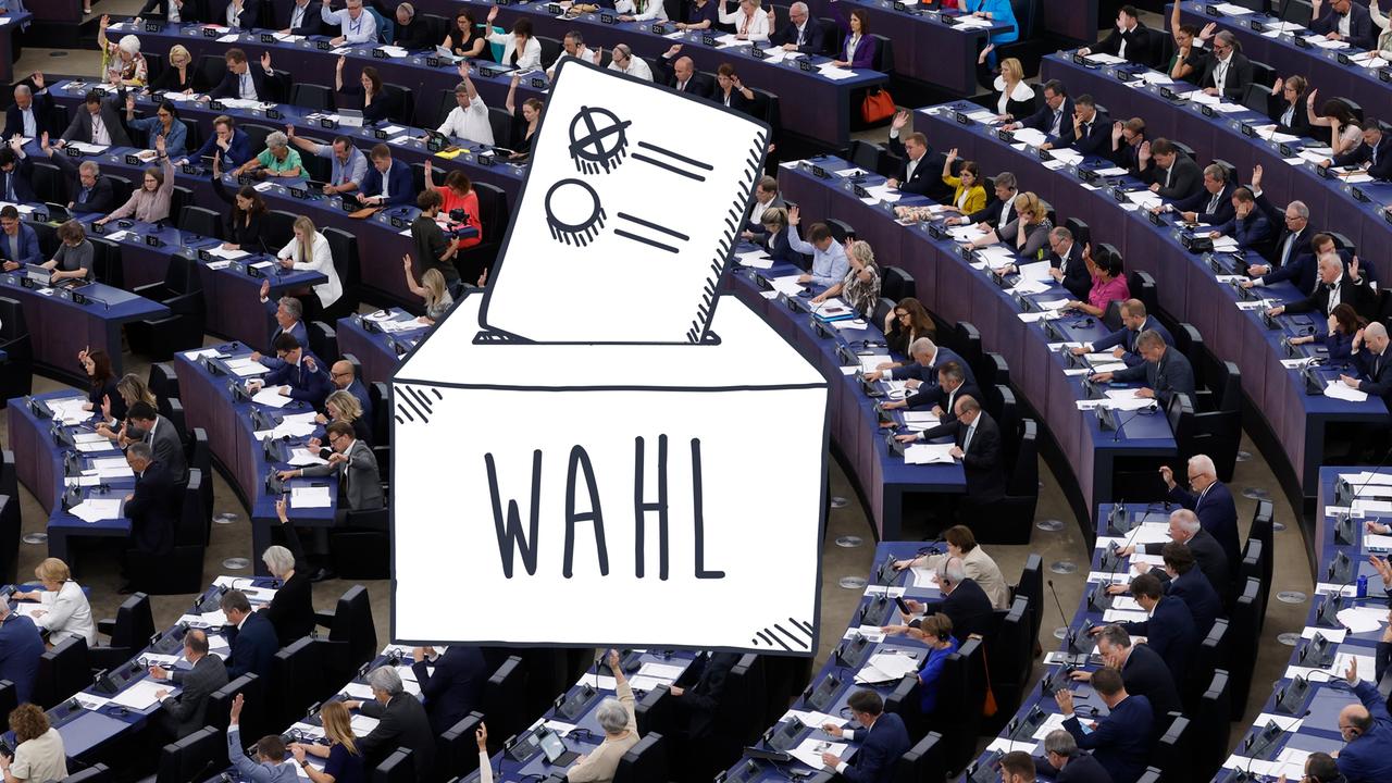 logo!: Das Europäische Parlament - einfach erklärt! - logo!