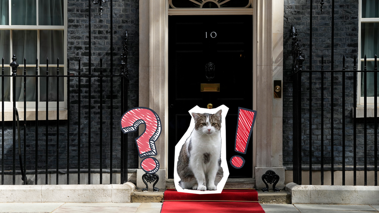 logo!: Neues Herrchen für Larry! - logo!