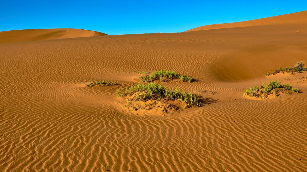 logo!: Überraschende Fakten über Wüsten - logo!