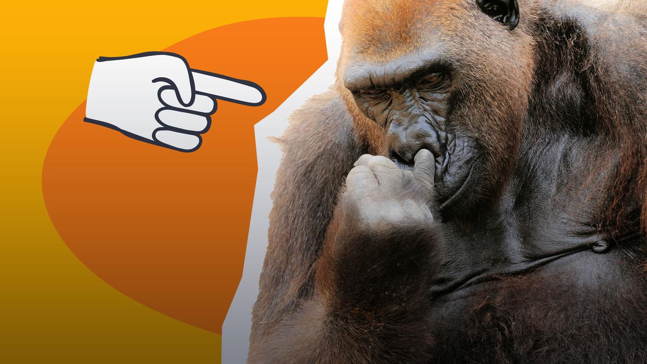 Tag des Nasebohrens: Ist Popel essen wirklich gesund?! - logo!