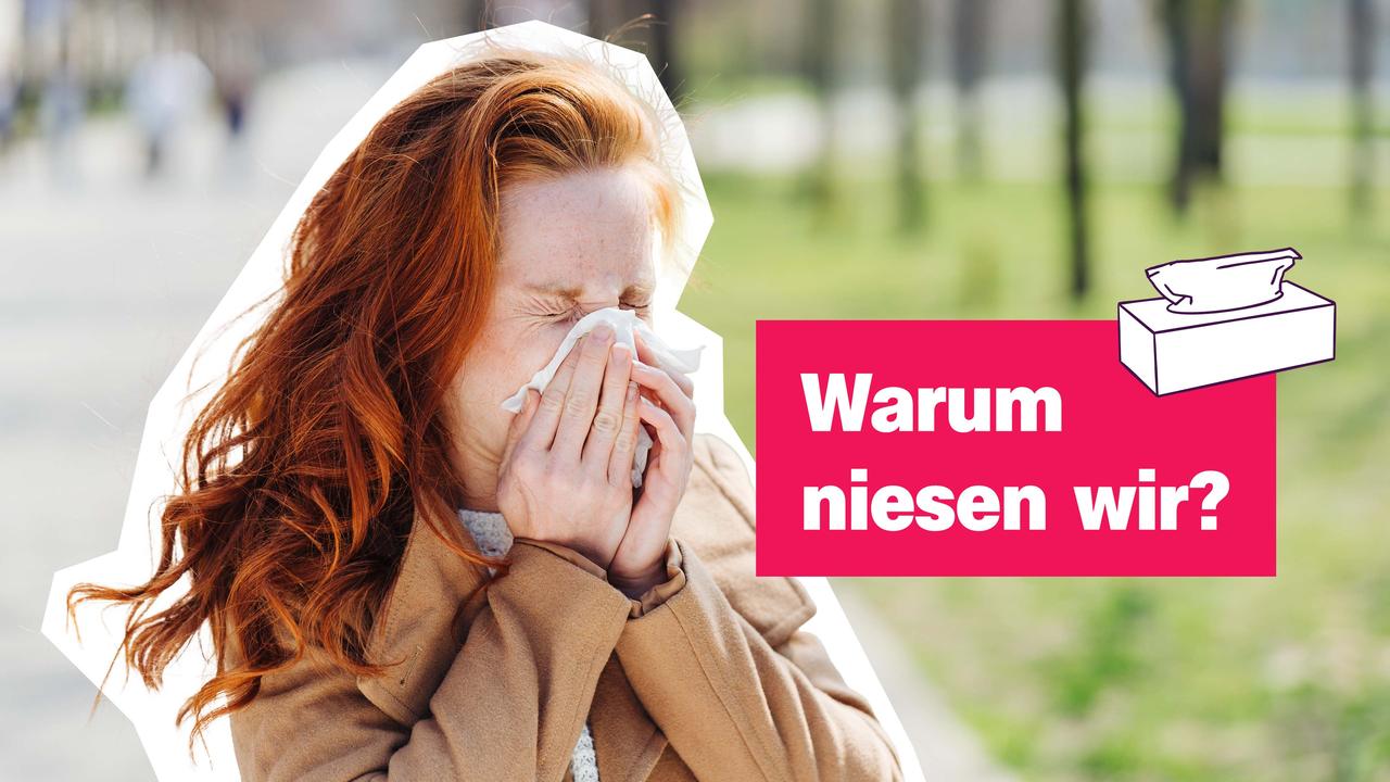 logo! am Montag, 08.12.2025 - Nachrichten, einfach erklärt - logo!