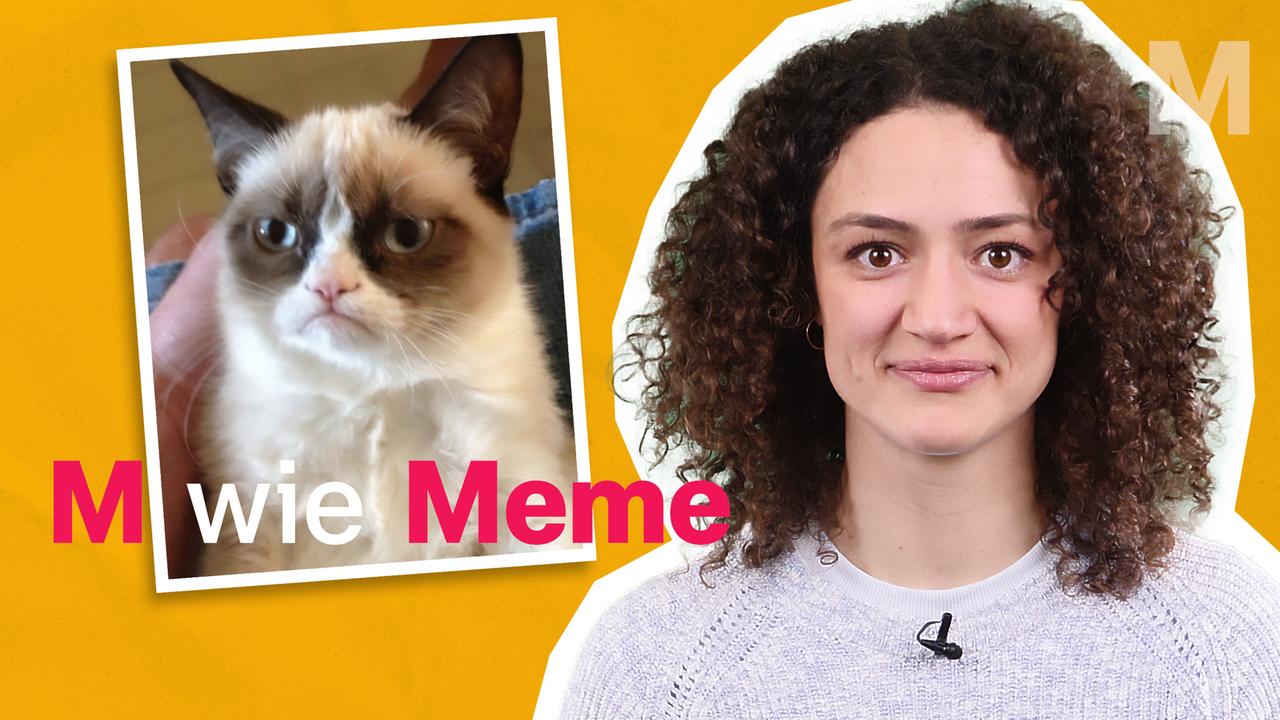 Meme - was ist das Besondere an den beliebten Internet-Bildchen? - logo!