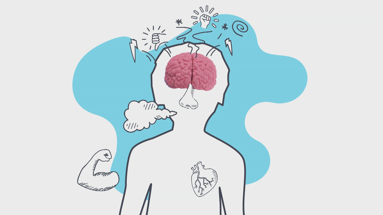 logo! erklärt: Was bei Wut im Körper passiert - logo!